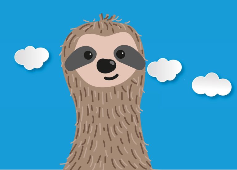 562 Quirky Sloth Names to Match Their Chill Vibe - Animal Hype