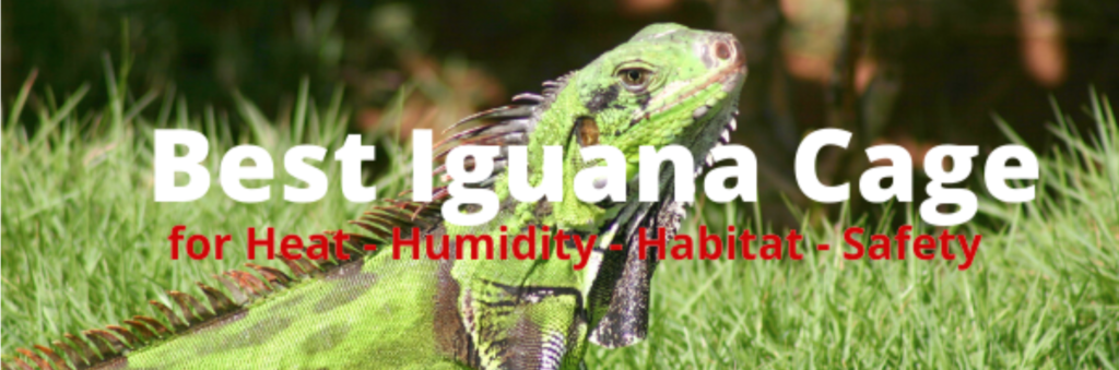 Best Iguana Cage 2021 - Reviews and Guide - Animal Hype