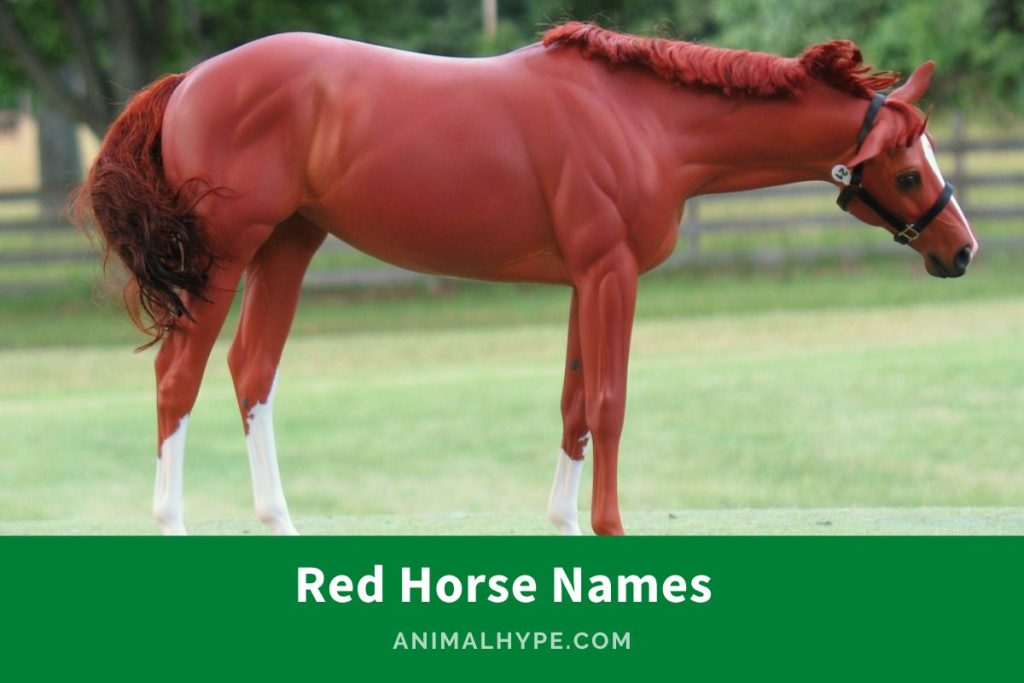 500 Red Horse Names For Your Fiery Steed - Animal Hype