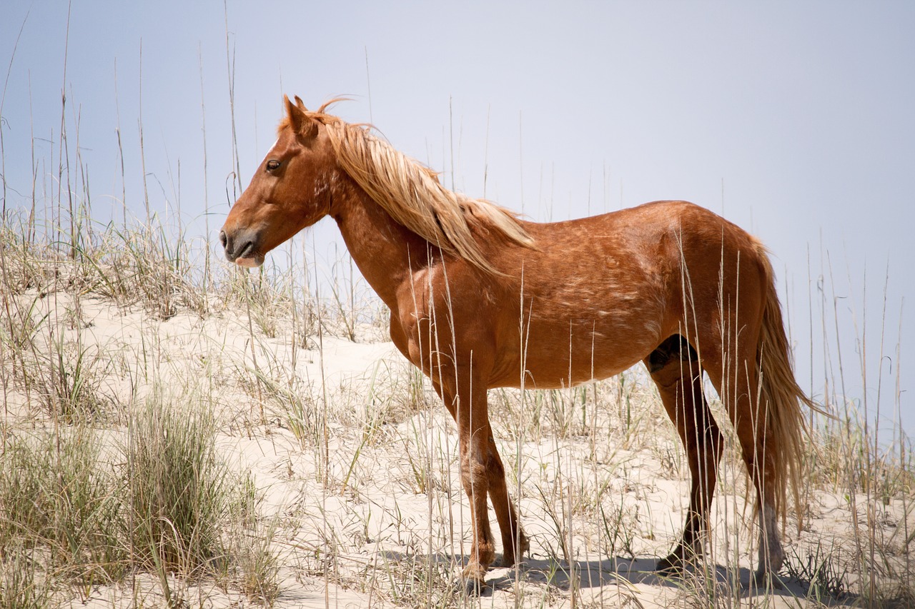 150 Majestic Mustang Horse Names for Your Steed - Animal Hype