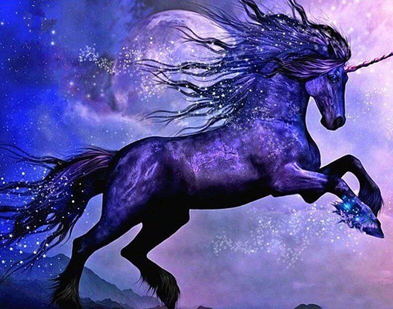 Black Unicorn Symbolism And Spiritual Meaning Animal Hype 2022 