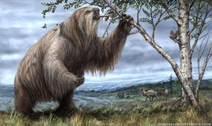 What Did Giant Sloths Eat? Megatherium's Diet - Animal Hype